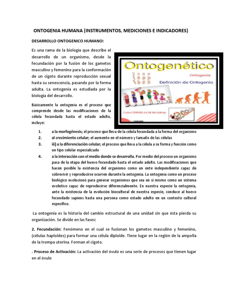 Ontogenia Humana | PDF