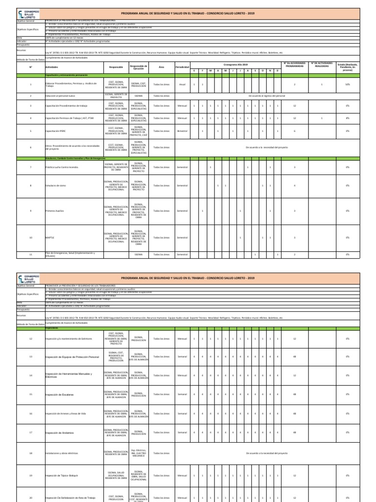 Programa Anual de Seguridad y Salud | PDF | Seguridad y salud ocupacional | Presupuesto