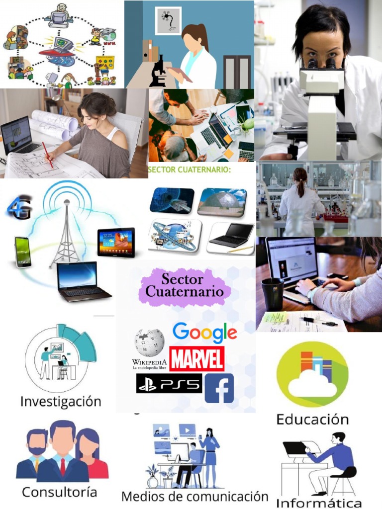 Collage Sector Cuaternario | PDF
