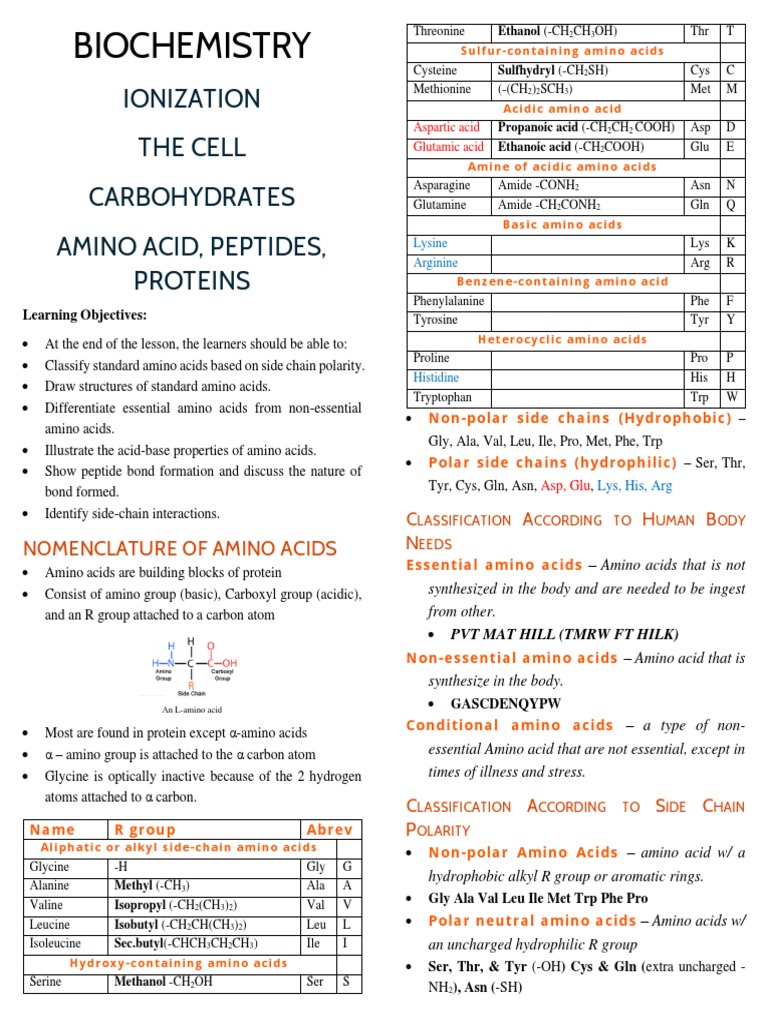Biochemistry Notes Proteins | Download Free PDF | Amino Acid | Proteins