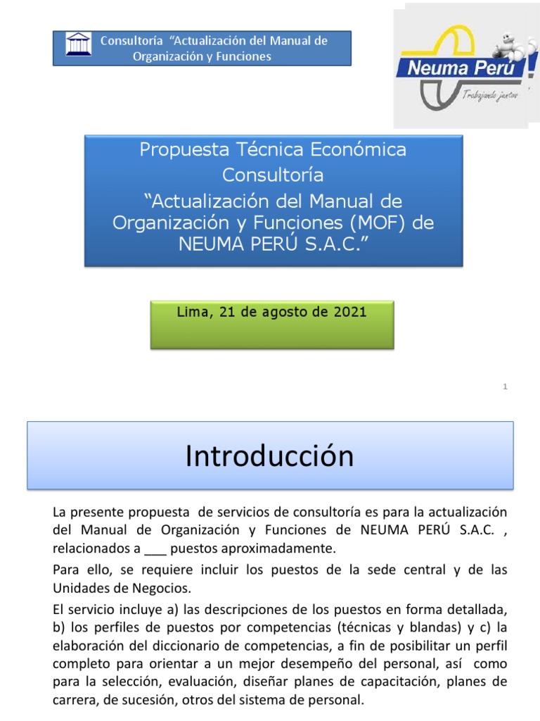 01 Propuesta Neuma Peru Mof | PDF | Minería | Perú