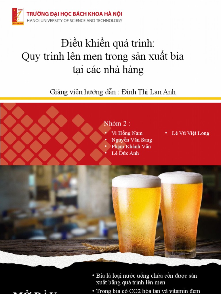 Quy Trình Lên Men Bia | PDF
