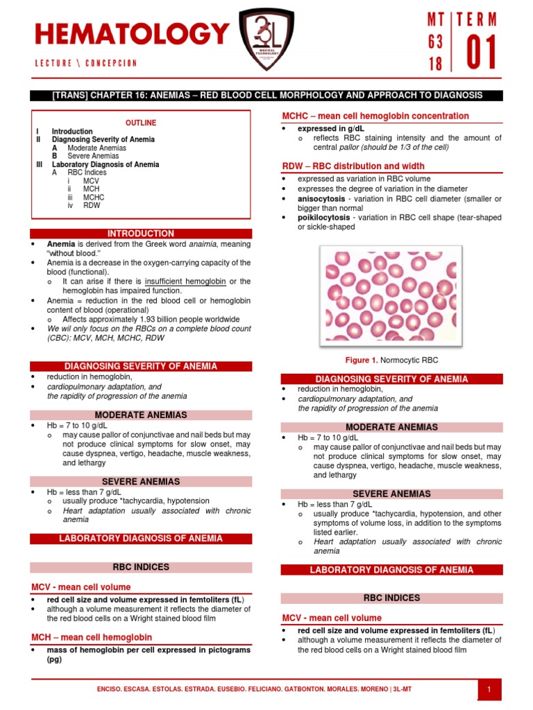 (Trans) Chapter 16: Anemias - Red Blood Cell Morphology and Approach To ...