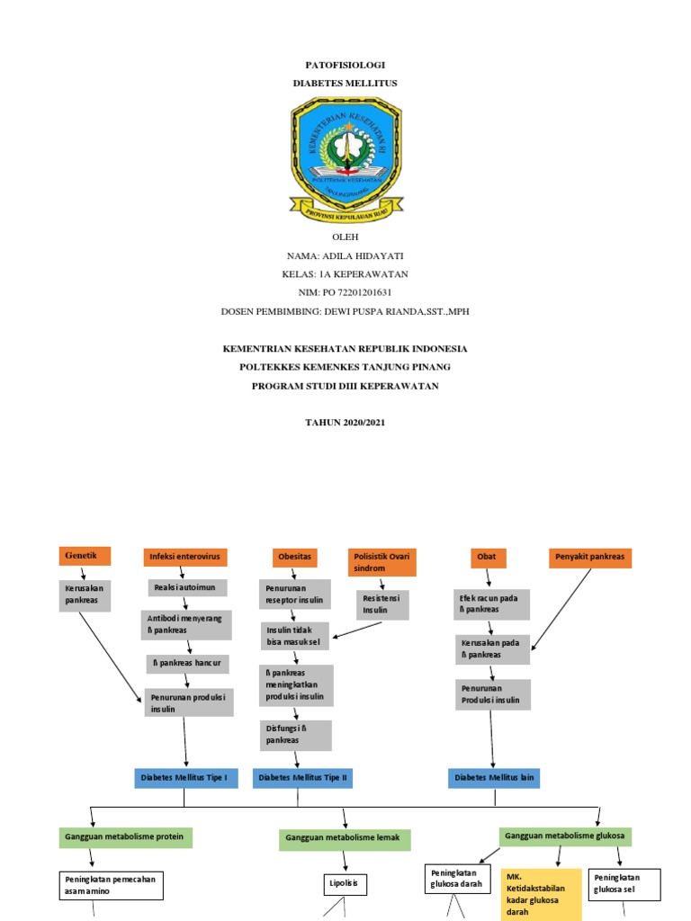 Woc Patofisiologi Diabetes Mellitus Adila | PDF