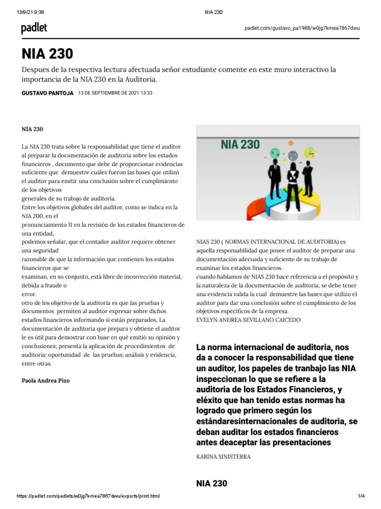 Nia 230 | PDF | Auditoría | Contralor