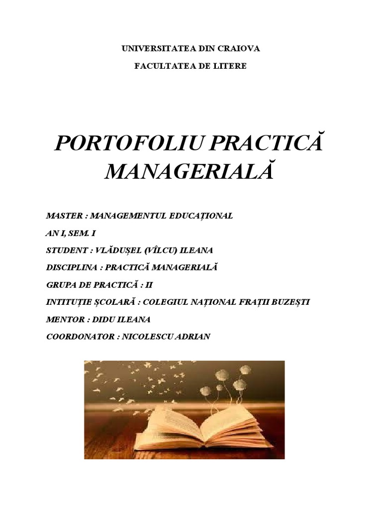 Portofoliu Examen | PDF