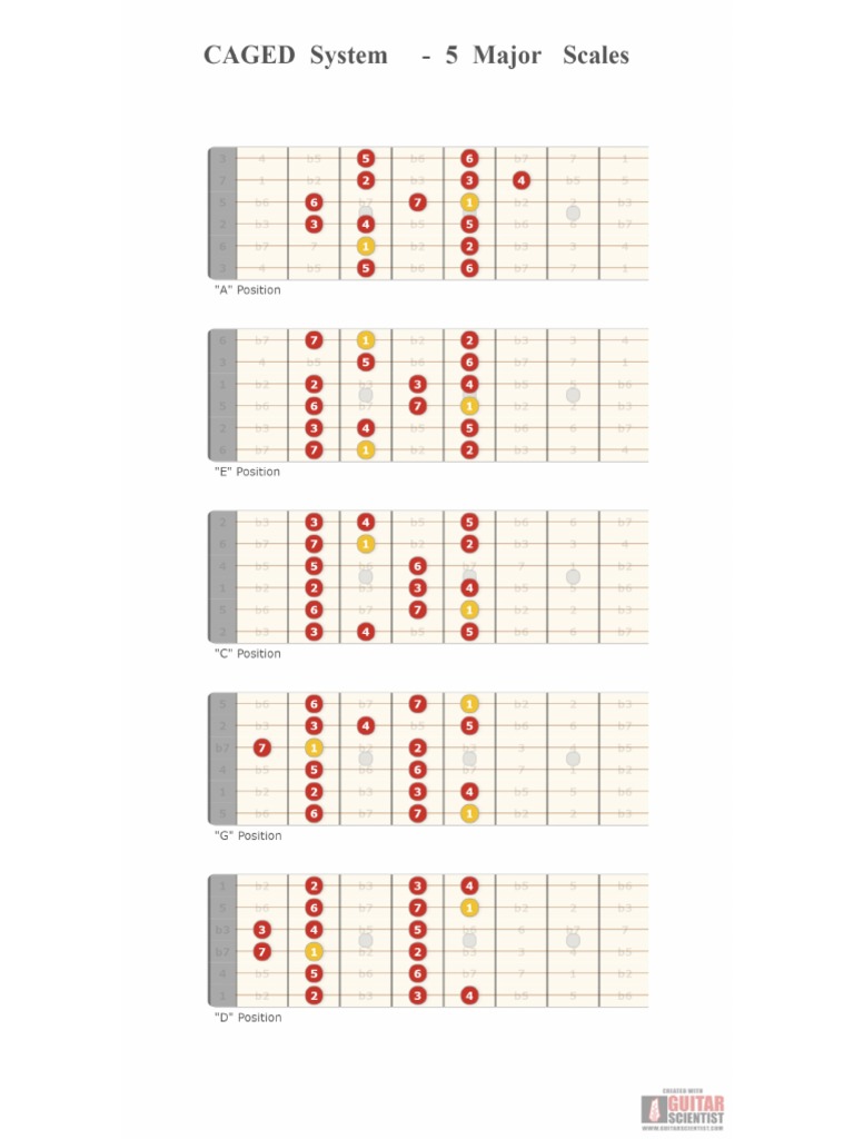Caged System Scales Note Functions | PDF