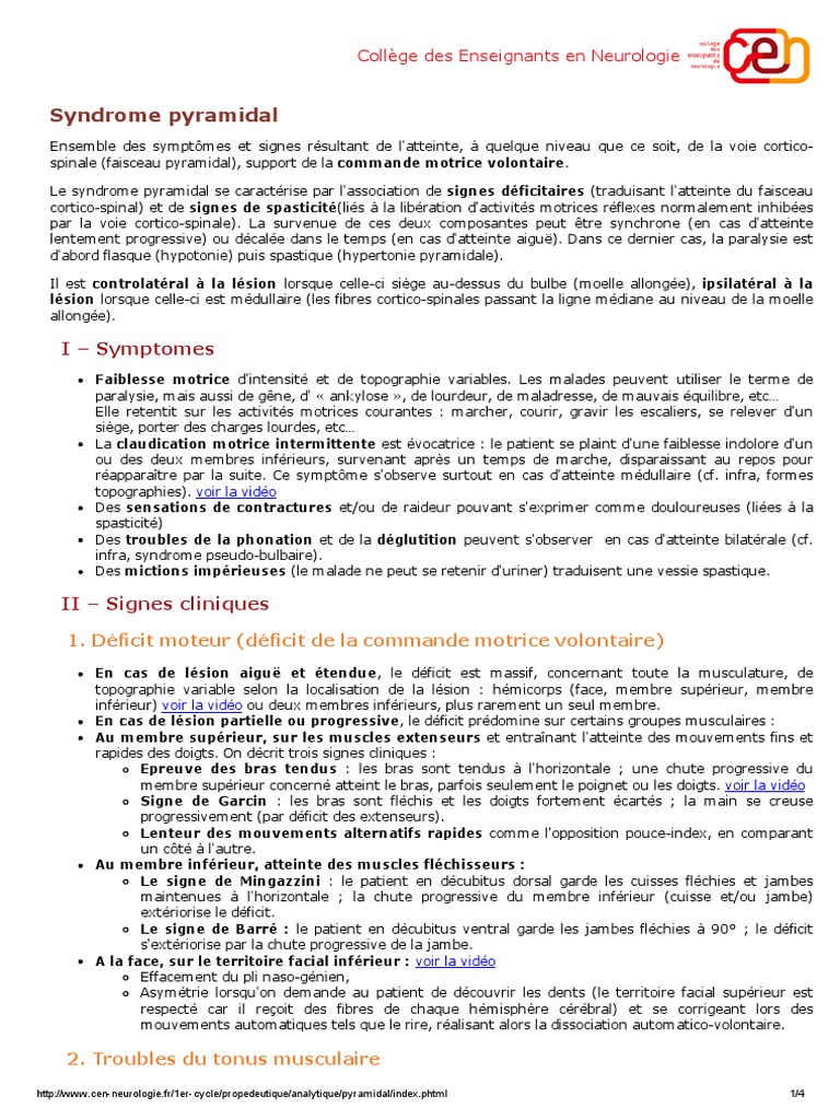 Syndrome pyramidal : symptômes et signes | PDF | Pied | Main