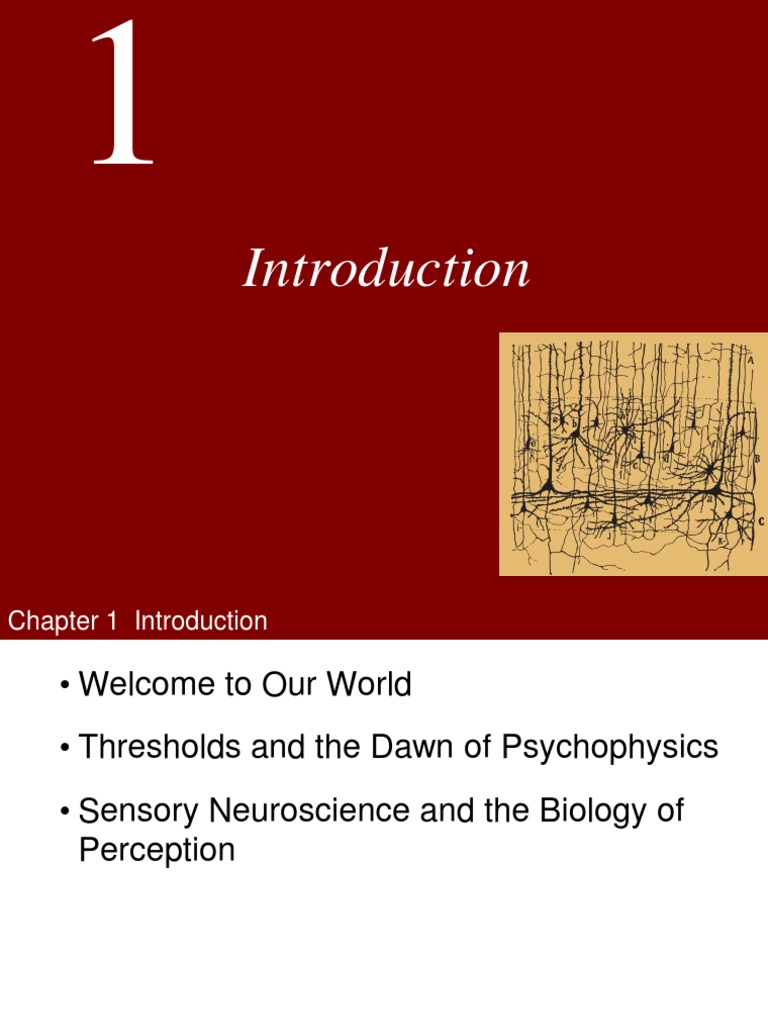 Lecture 1 - Intro History Methods | PDF | Psychophysics | Neuroimaging