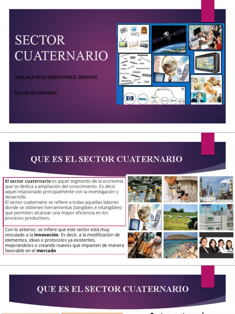 Sector Cuaternario | PDF | Economias | Informática