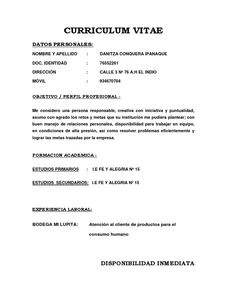 Curriculum Danitza | PDF