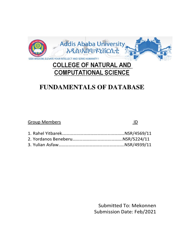 Car Rental Database System | PDF