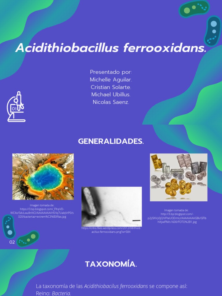 Acidithiobacillus Ferrooxidans | PDF | Química | Sustancias químicas
