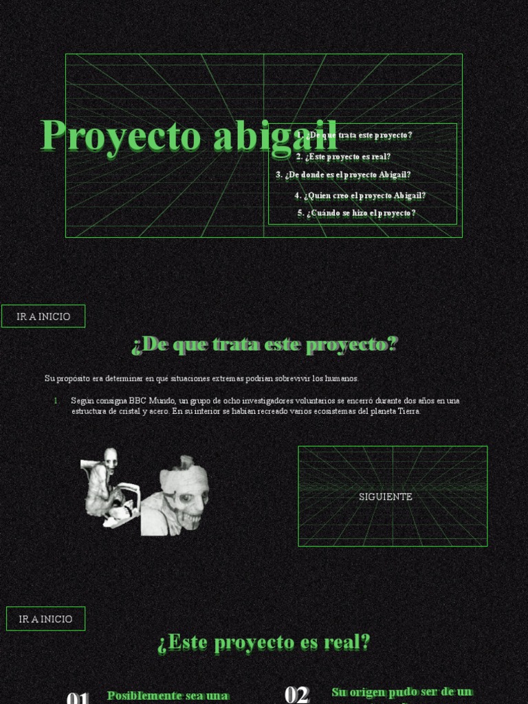 Proyecto Abigail | PDF