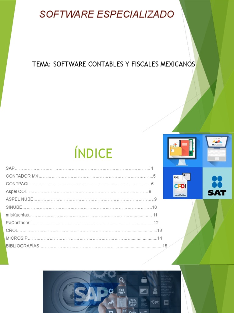 Software Contable y Fiscal en México | PDF | Contabilidad | Computación ...