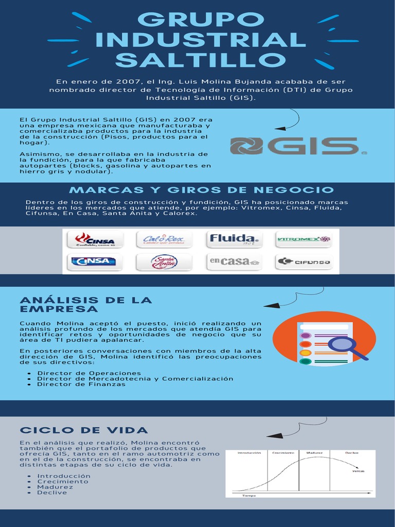 Grupo Industrial Saltillo | PDF | Outsourcing | Sistema de información ...