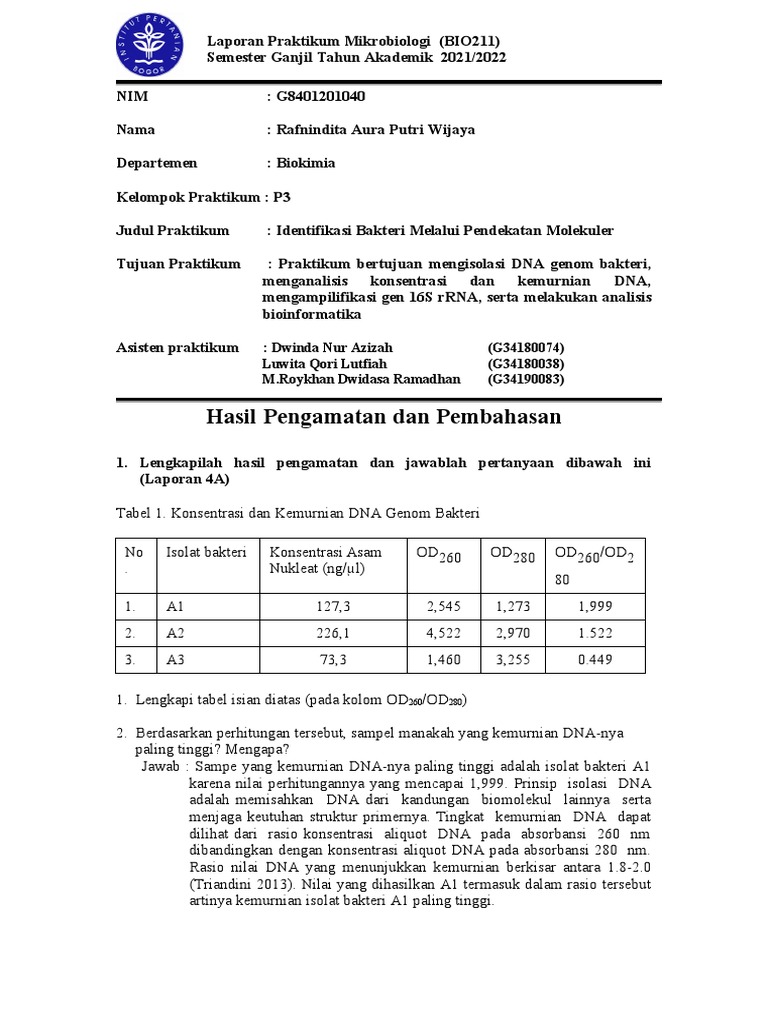 Format Laporan Praktikum 4 | PDF