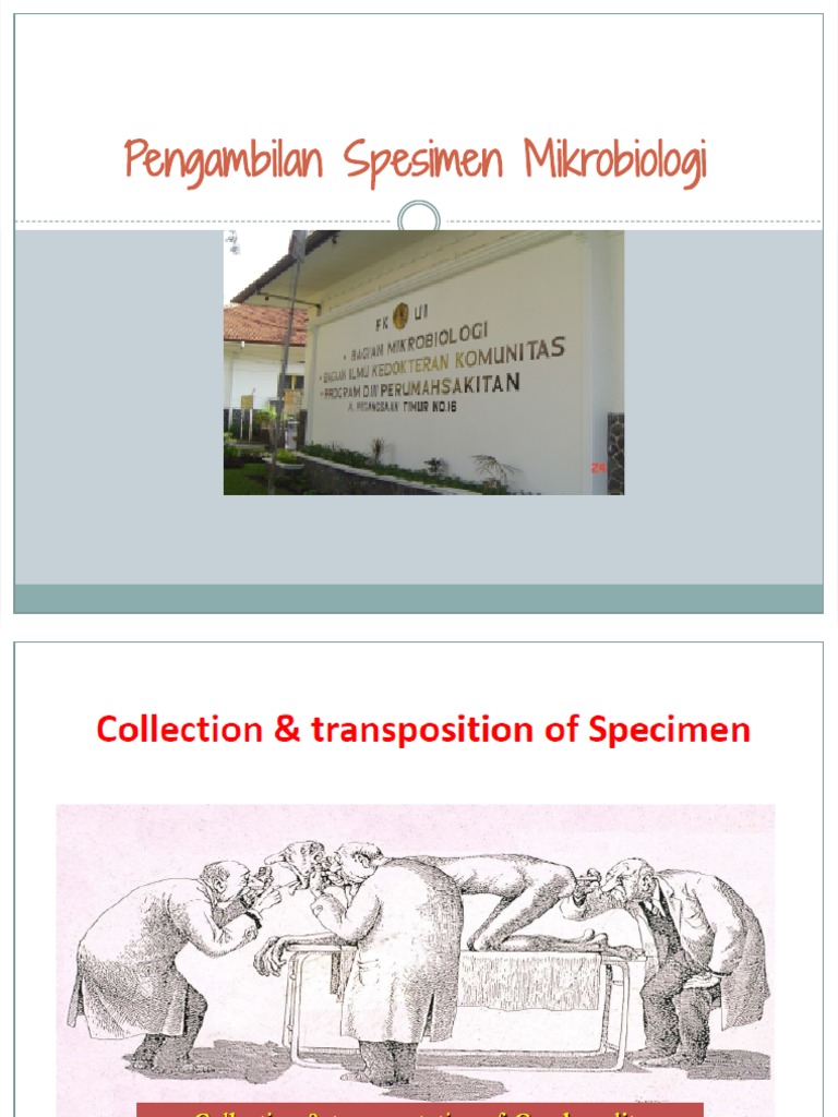 Pengambilan Spesimen Dan Mikrobiologi Dasar | PDF