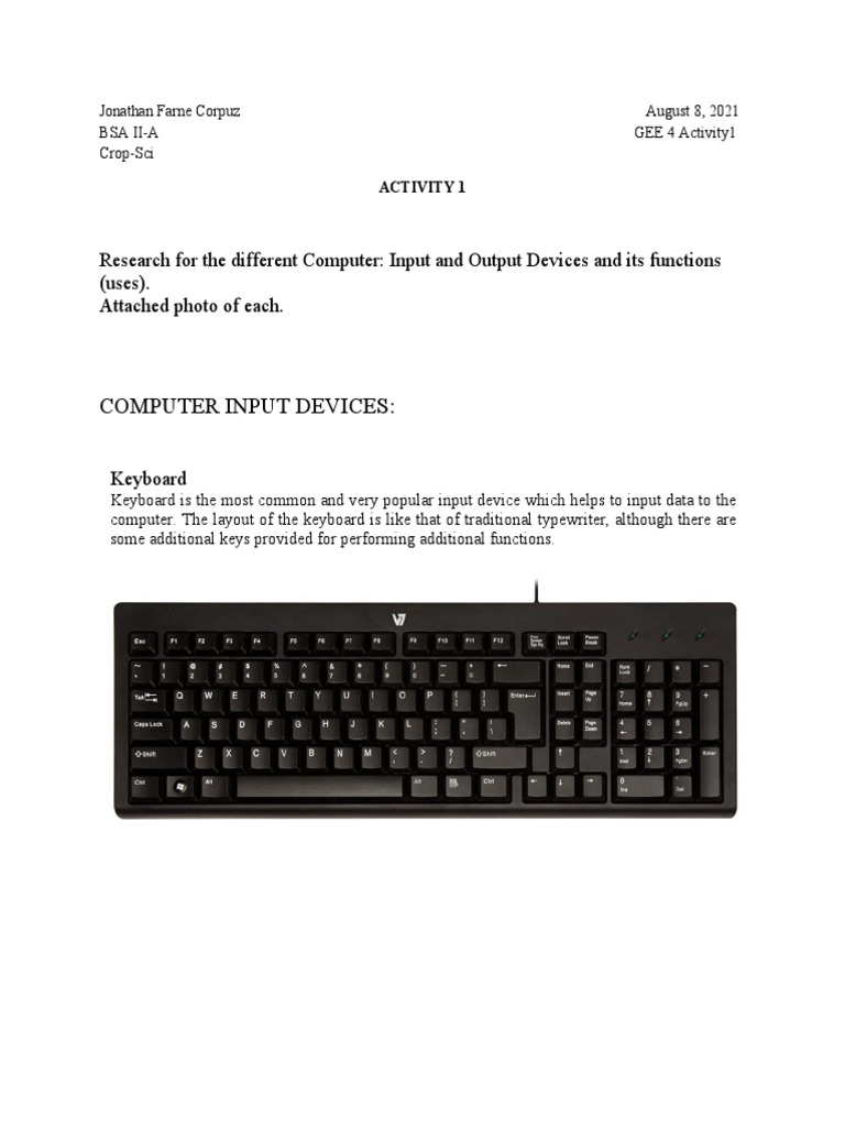 Input and Output Devices Overview | PDF | Input/Output | Computer Data ...
