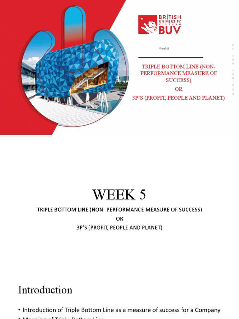 Week 5 - Lecture Slides - Triple Bottom Line - 3Ps | PDF ...