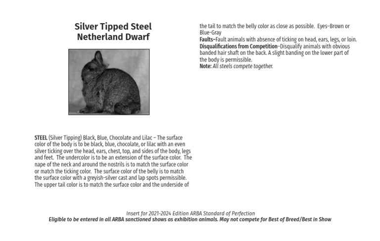 Silver Tipped Steel Netherland Dwarf | PDF