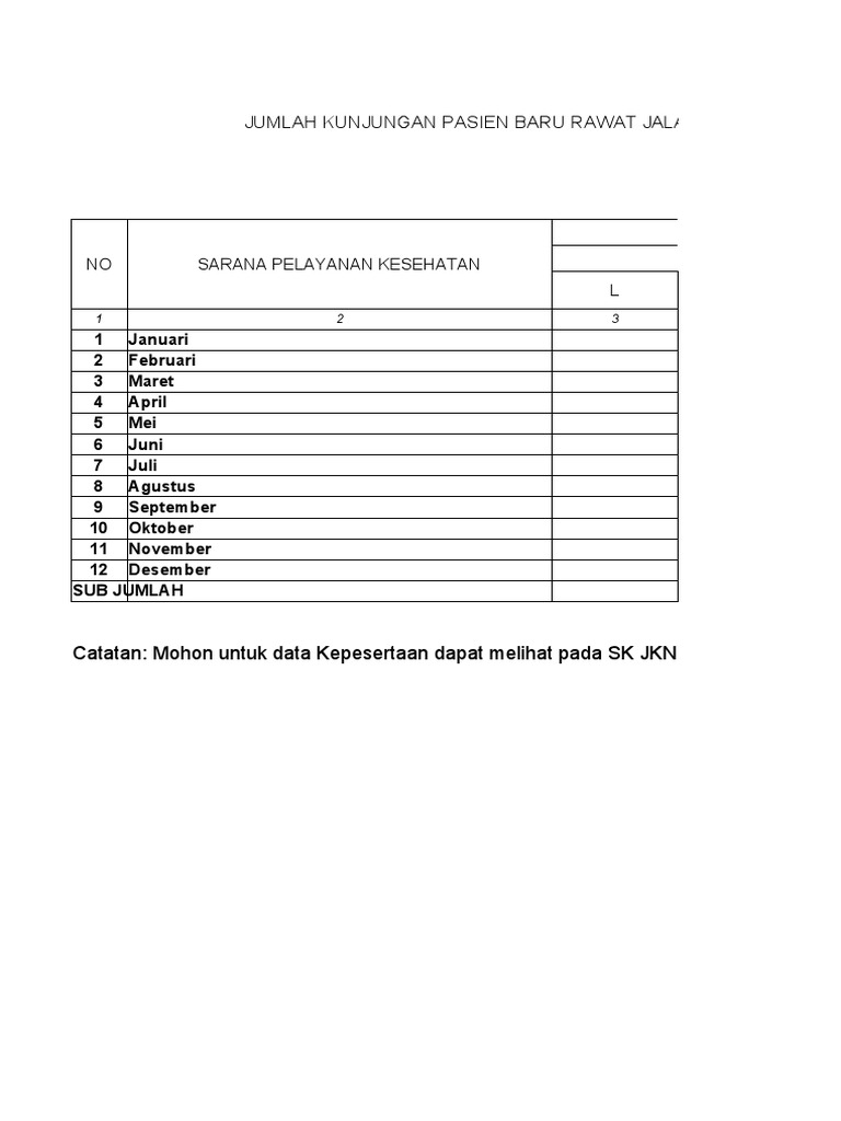 Format Data Kunjungan | PDF
