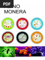 El Reino Monera | PDF | Biología Celular) | Organismos