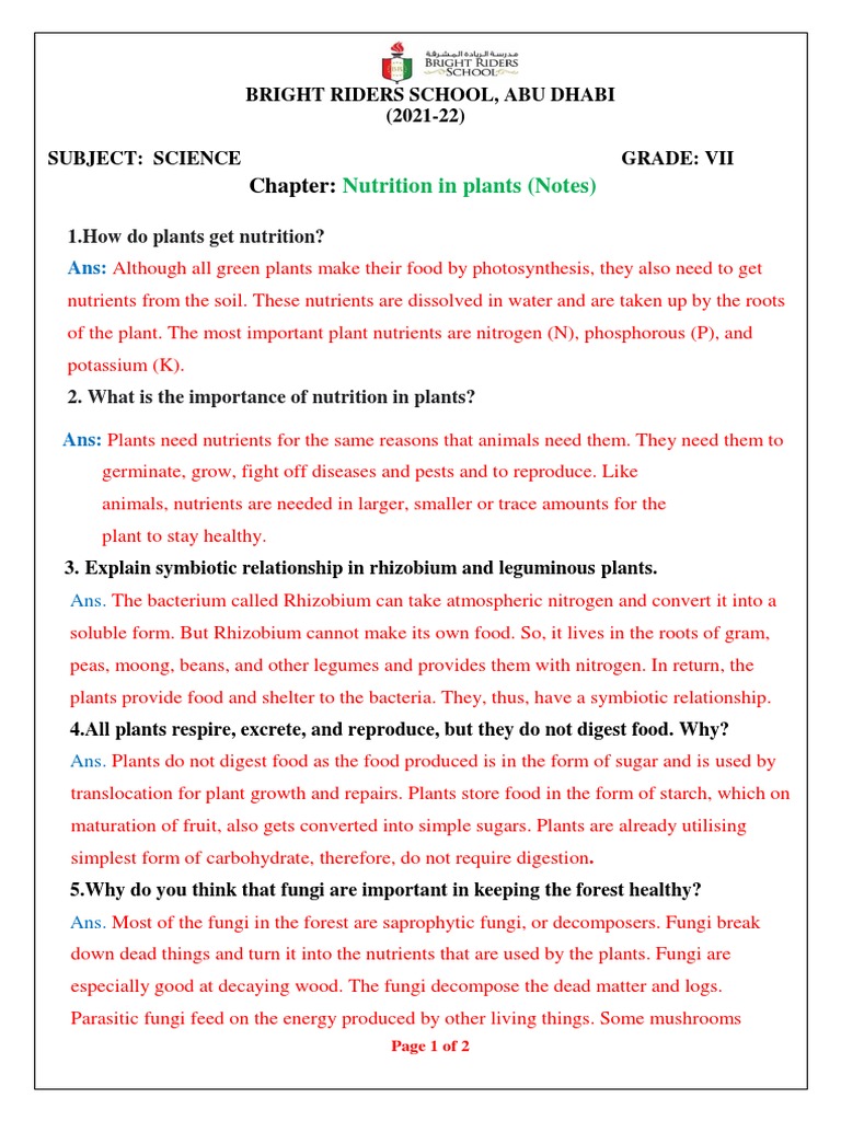 Nutrition in Plants: Class 7 Notes | PDF | Plants | Legume