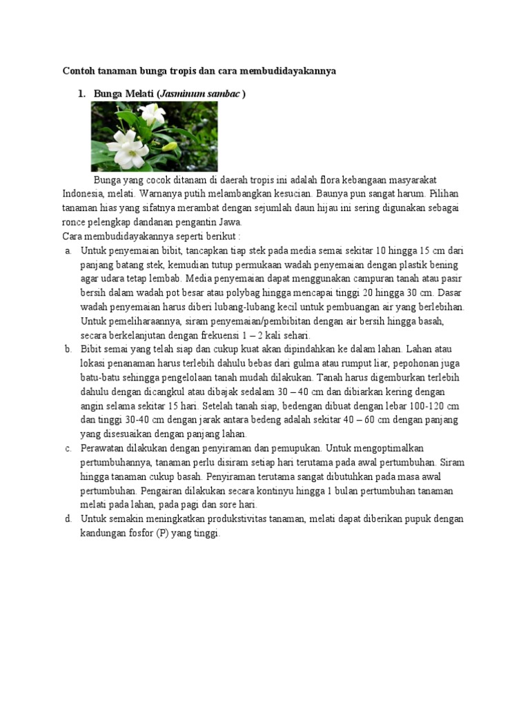 Contoh Tanaman Bunga Tropis Dan Cara Membudidayakannya (Bagian 4) | PDF ...