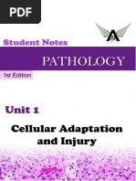 Systemic Pathology - Dr. Priyanka Sachdev | PDF | Coronary Artery ...