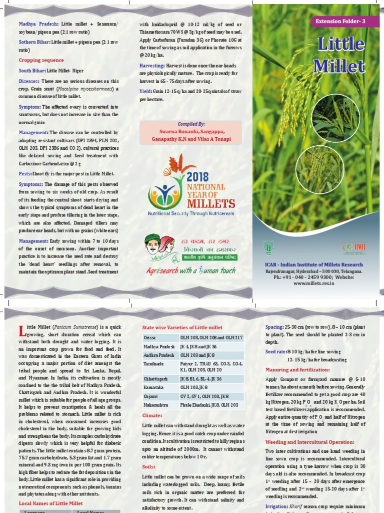 Little Millet Brochure | PDF | Sowing | Soil