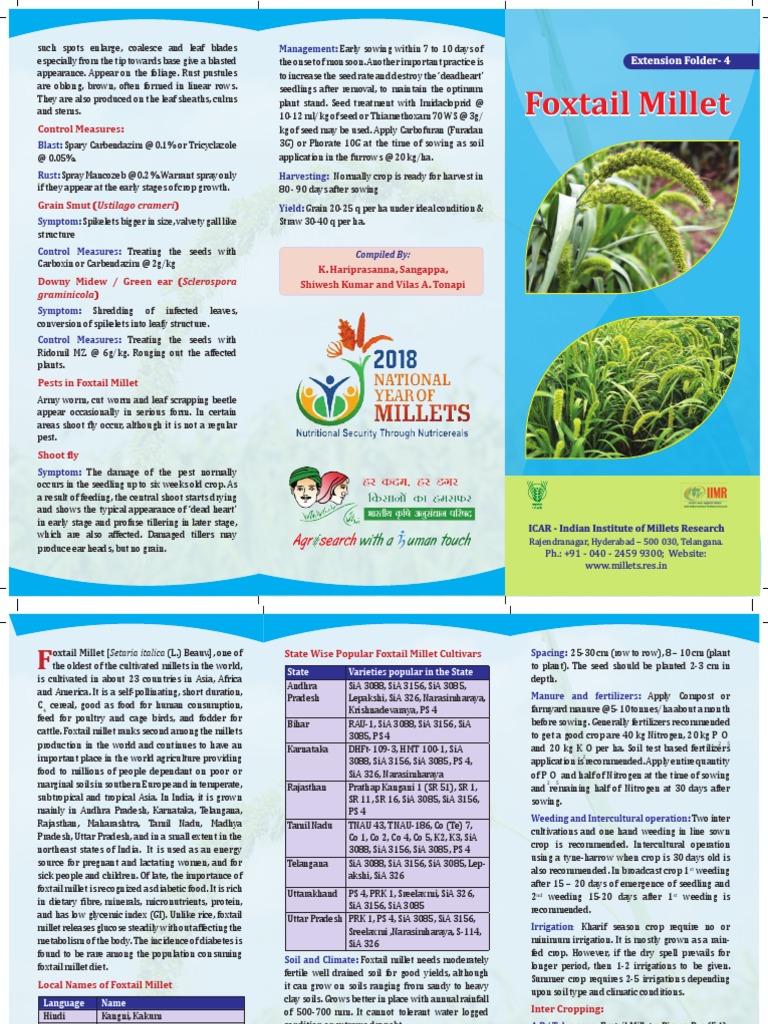 Foxtail Millet Brochure | PDF | Agriculture | Plants