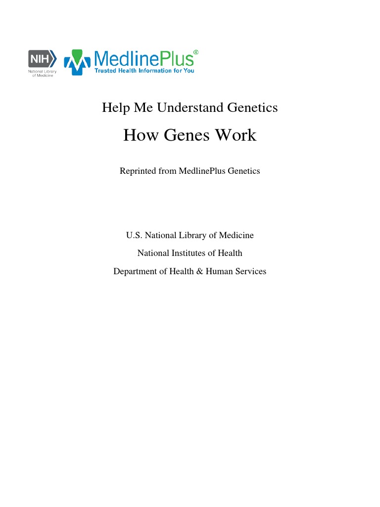 How Genes Work | Download Free PDF | Epigenetics | Messenger Rna