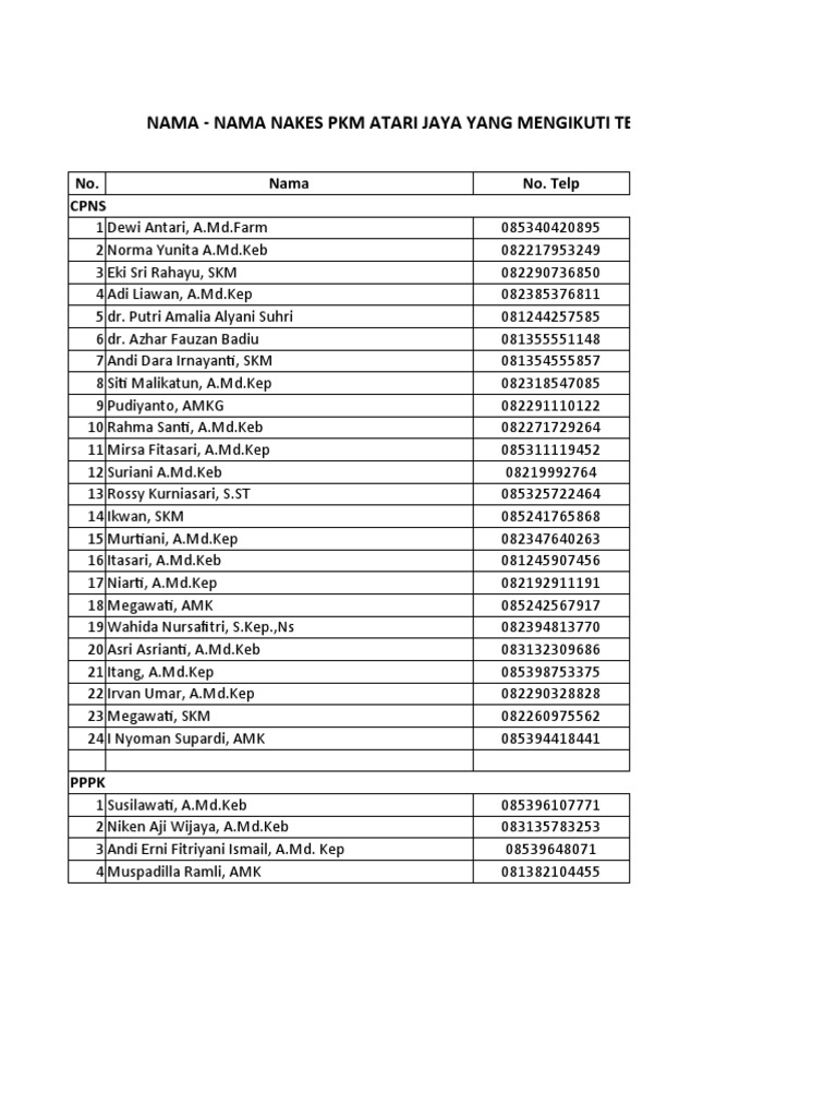 Data Nakes CPNS Dan P3K PKM ATARI JAYA | PDF