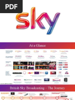 Sky Organizational Chart | PDF