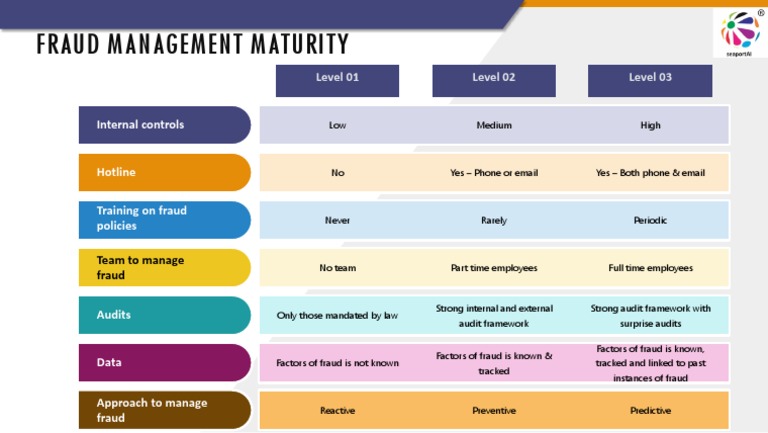 Fraud Management Maturity Levels and Controls | PDF