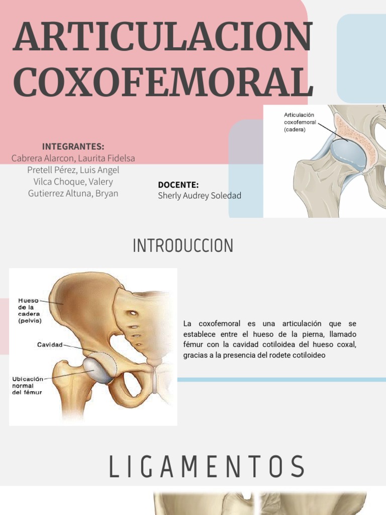 Articulacion Coxofemoral | PDF