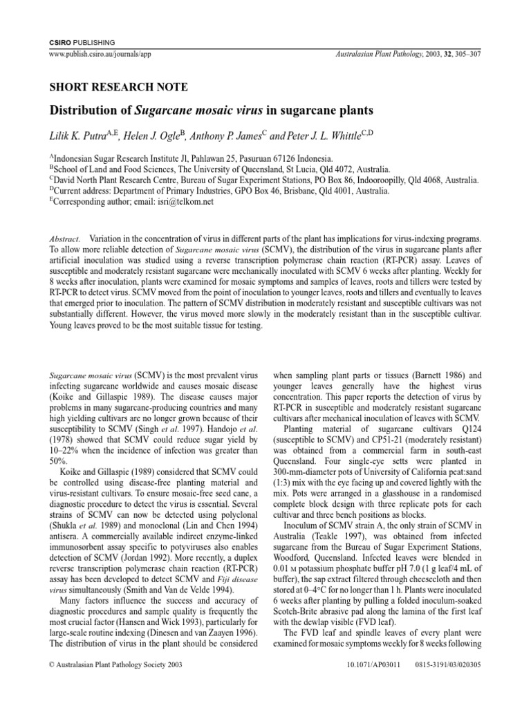 Distribution of SCMV On APPS | PDF | Agarose Gel Electrophoresis ...