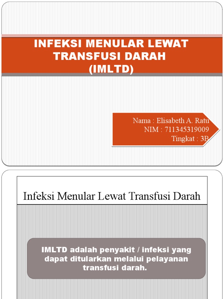 Elisabeth A. Ratu - 3B - Tugas IMLTD | PDF
