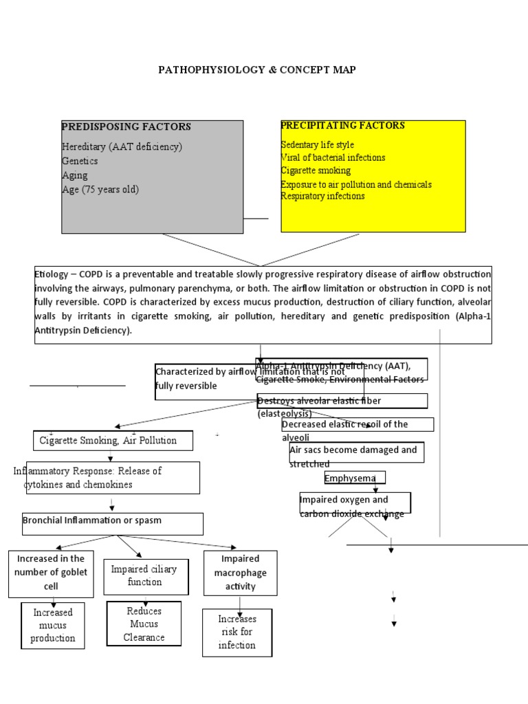 Pathophysiology & Concept Map: Precipitating Factors | PDF | Chronic ...