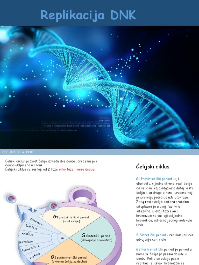 Replikacija DNK | PDF