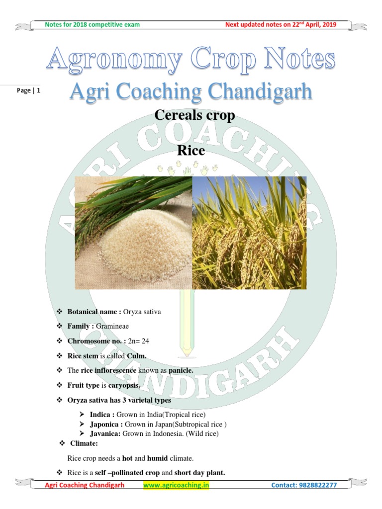 Agronomy Crop Notes (Sample) | PDF | Wheat | Maize