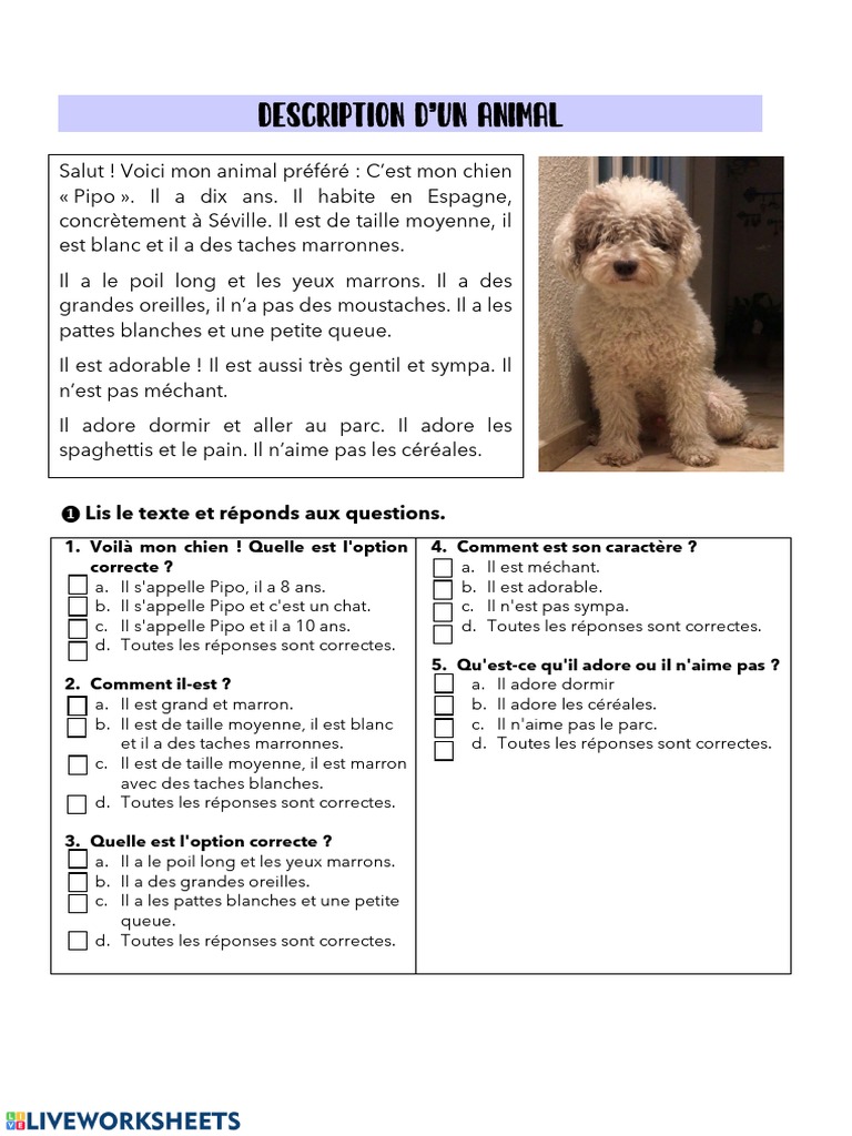 Lis Le Texte Et Réponds Aux Questions | PDF