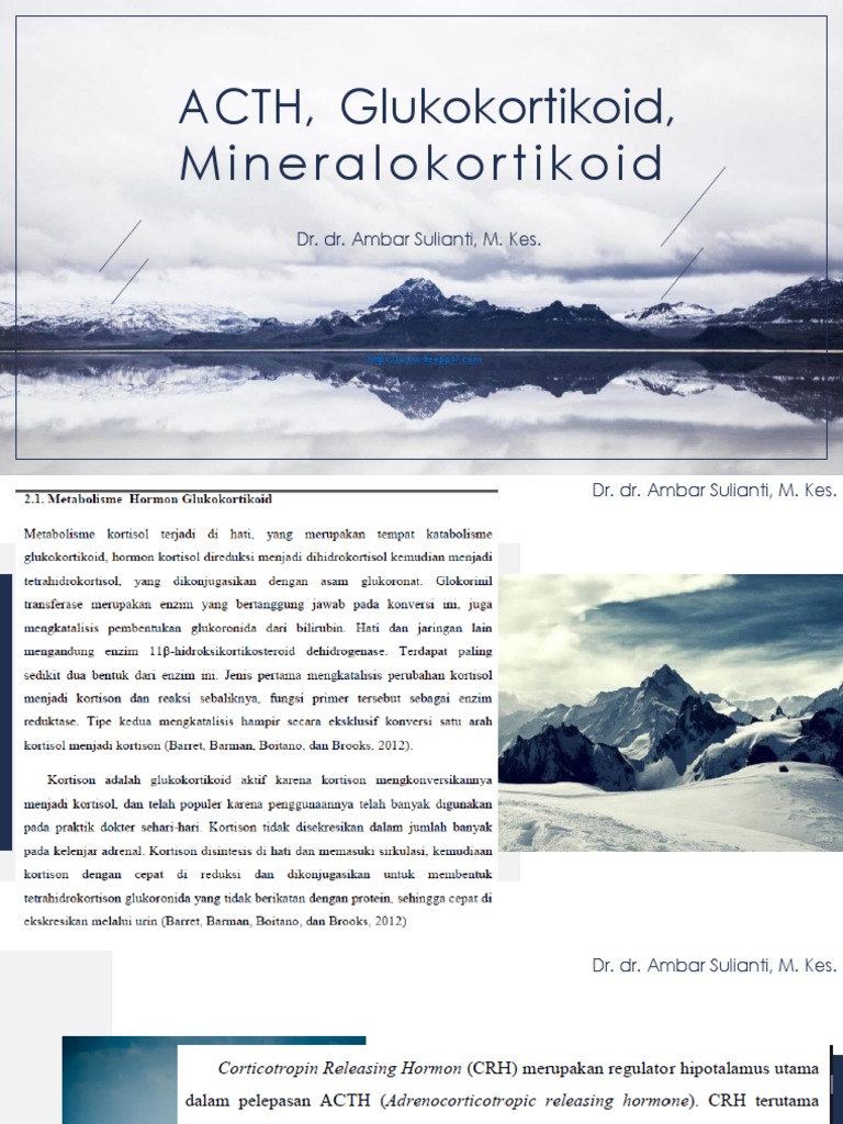 14 ACTH, Hormon Insulin, Glukokortikoid, Mineralokortikoid | Download ...