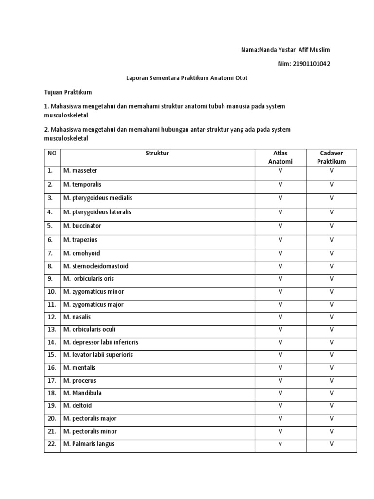 Anatomy Student Nanda Yustar Afif Muslim's Preliminary Report on the ...