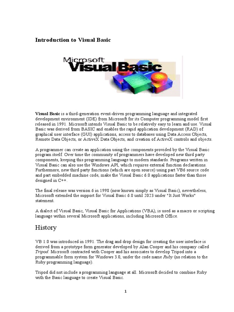 SRS REPORT Format | PDF | Visual Basic For Applications | Basic