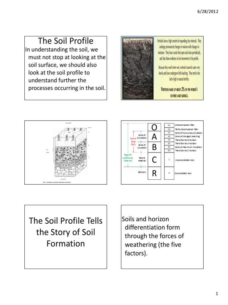 Chapter 2c The Soil Profile | PDF | Soil | Earth Sciences