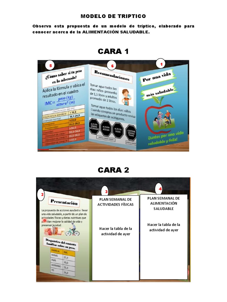 Modelo de Triptico | PDF