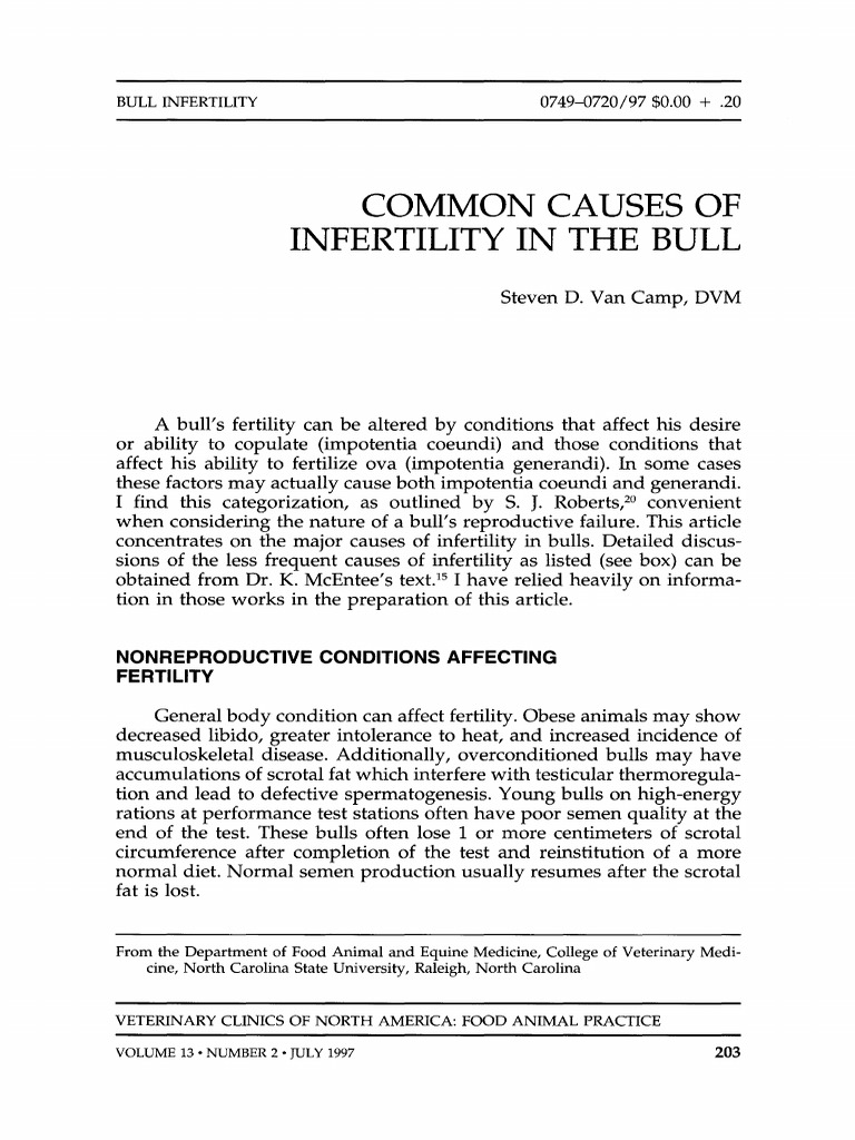 Bull Infertil | PDF | Testicle | Penis