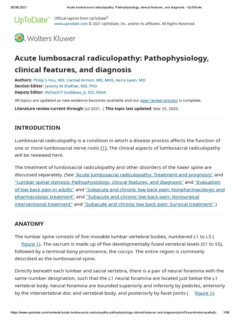 Acute Lumbosacral Radiculopathy - Pathophysiology, Clinical Features ...